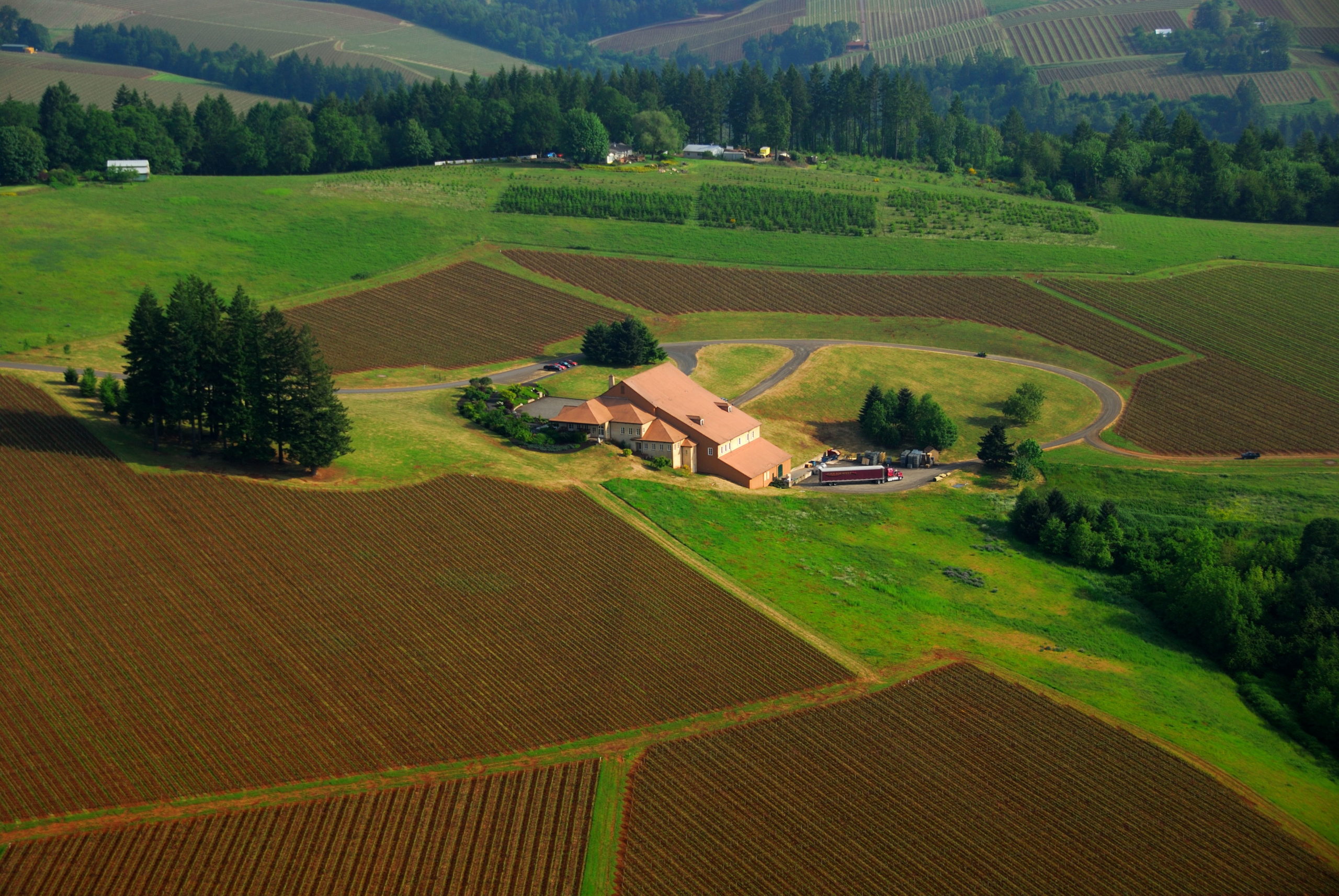 Sparkling Wine - That Portland Life